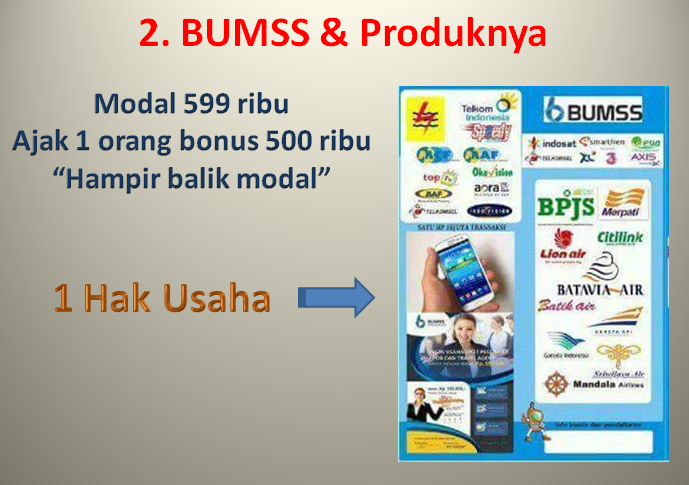 BUMSS Bastiss. Mari sukses bersama BUMSS. APA itu BUMSS???