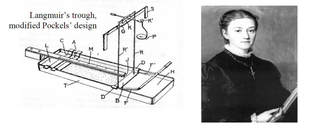 Agnes Pockels - Alchetron, The Free Social Encyclopedia