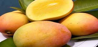 Clúster del mango.Incluyen el mango dominicano en los planes de ...