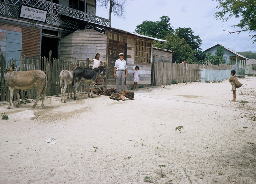 On The Rocks: The Last Voyageof the Brigantine Yankee