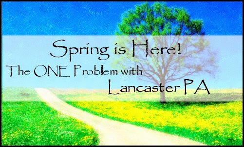 The Adventures & Travels of RoadAbode: Spring is Here! Want to Know the ...