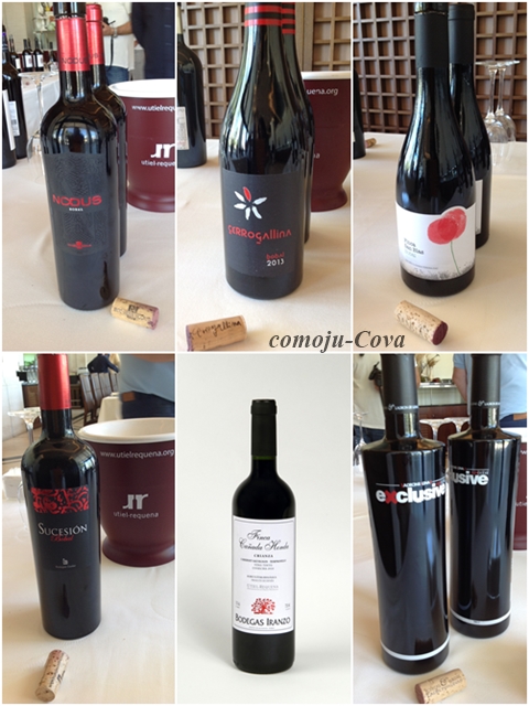 Proexa - Vega Valterra Bobal 2014