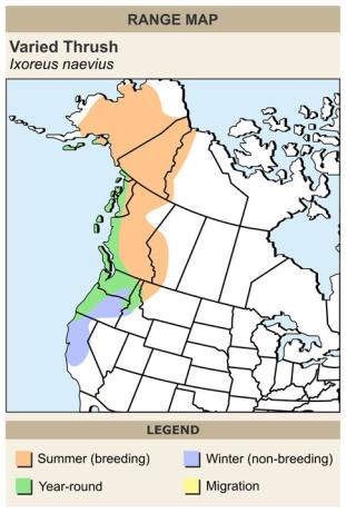 Birds Brews and Blither: A Very Varied Day