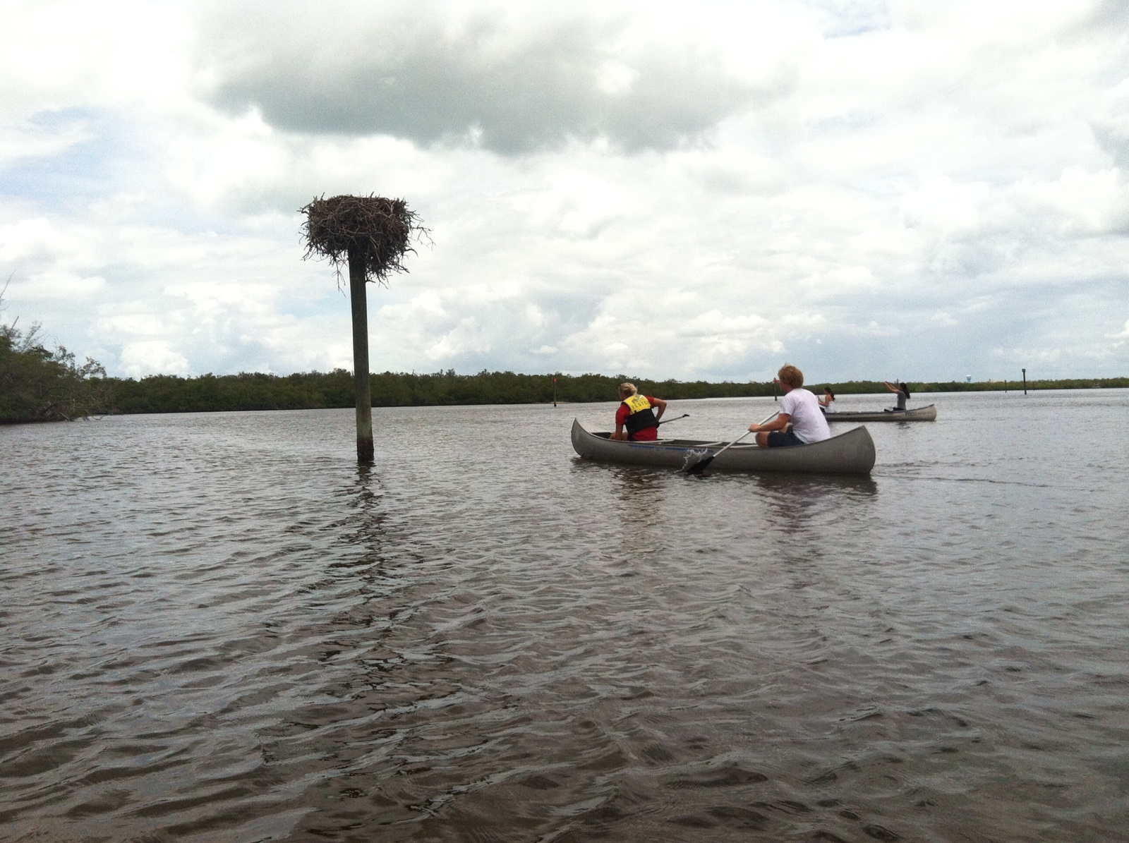 The Purple Cobras: Field Trip #3: Vester Field Station