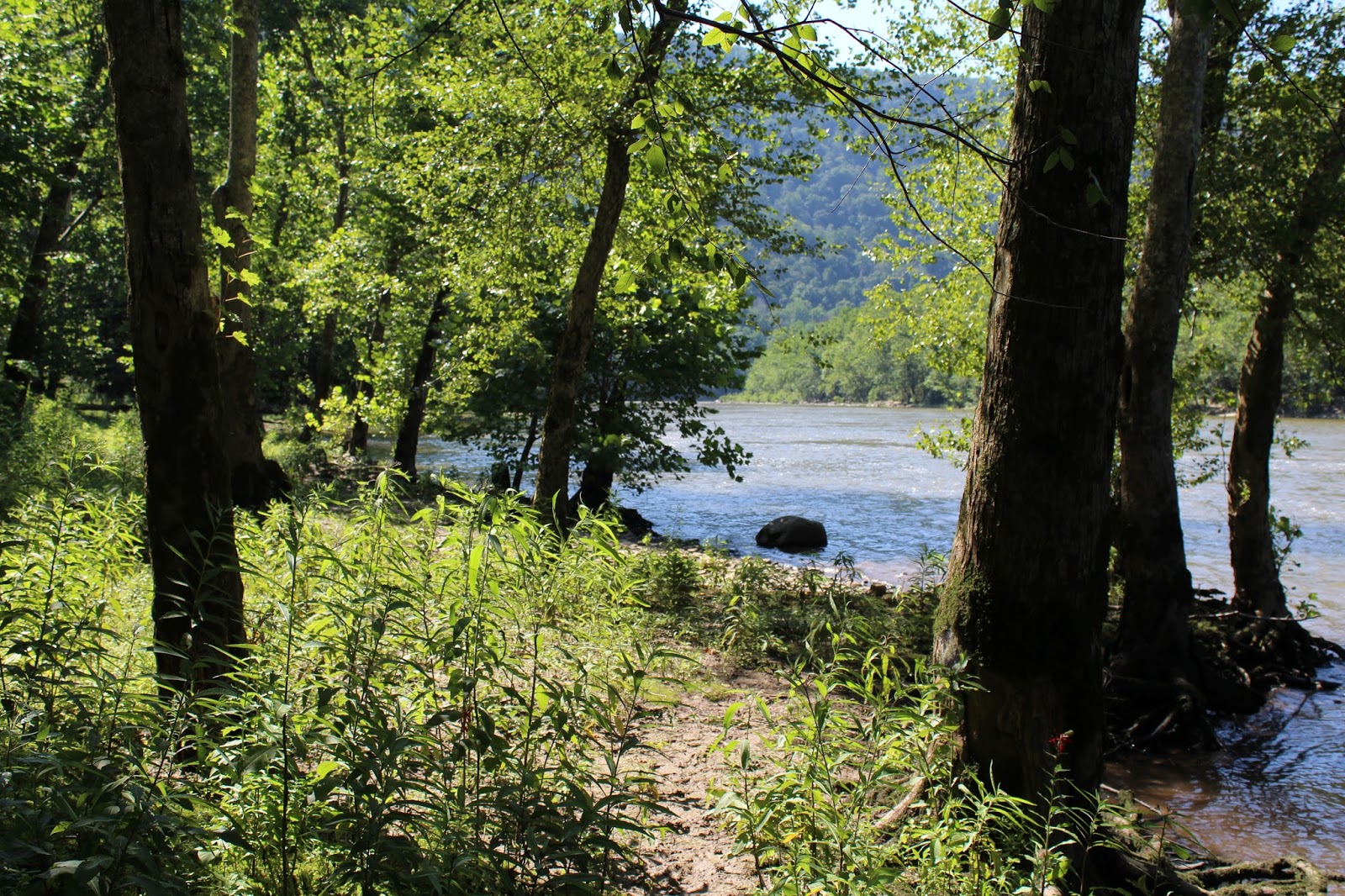 NATIONAL RIVER DAY: August 2016