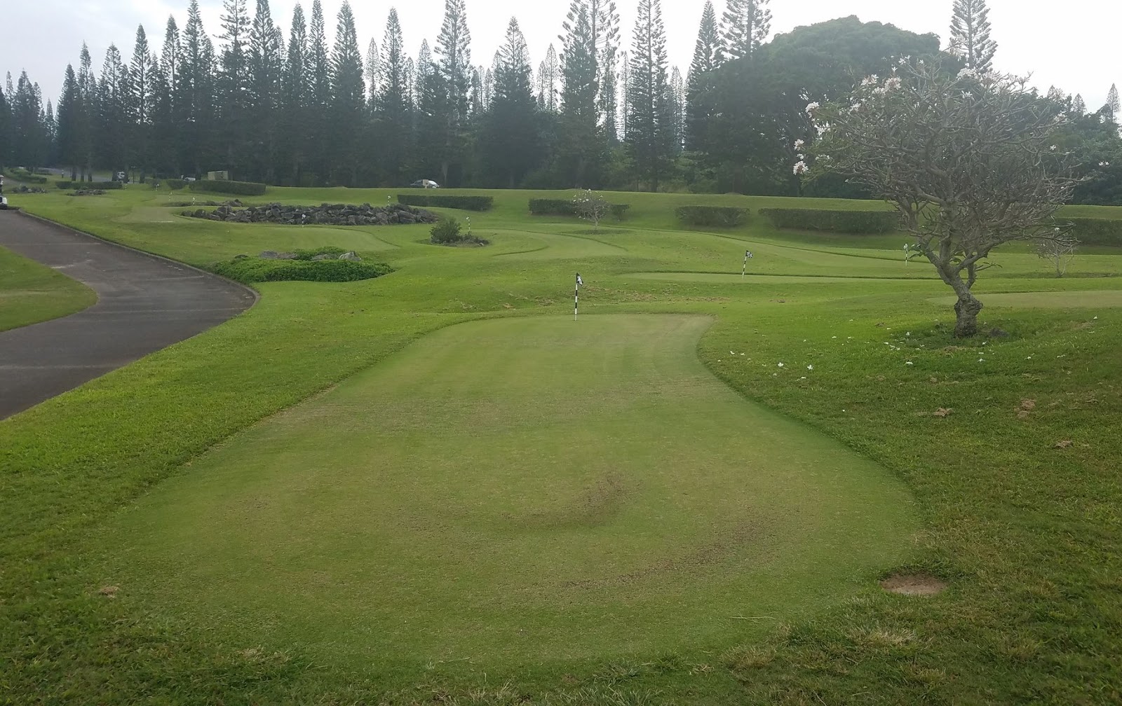 The Ham and Egger Files: Miniature Golf Putting at Kapalua Golf ...