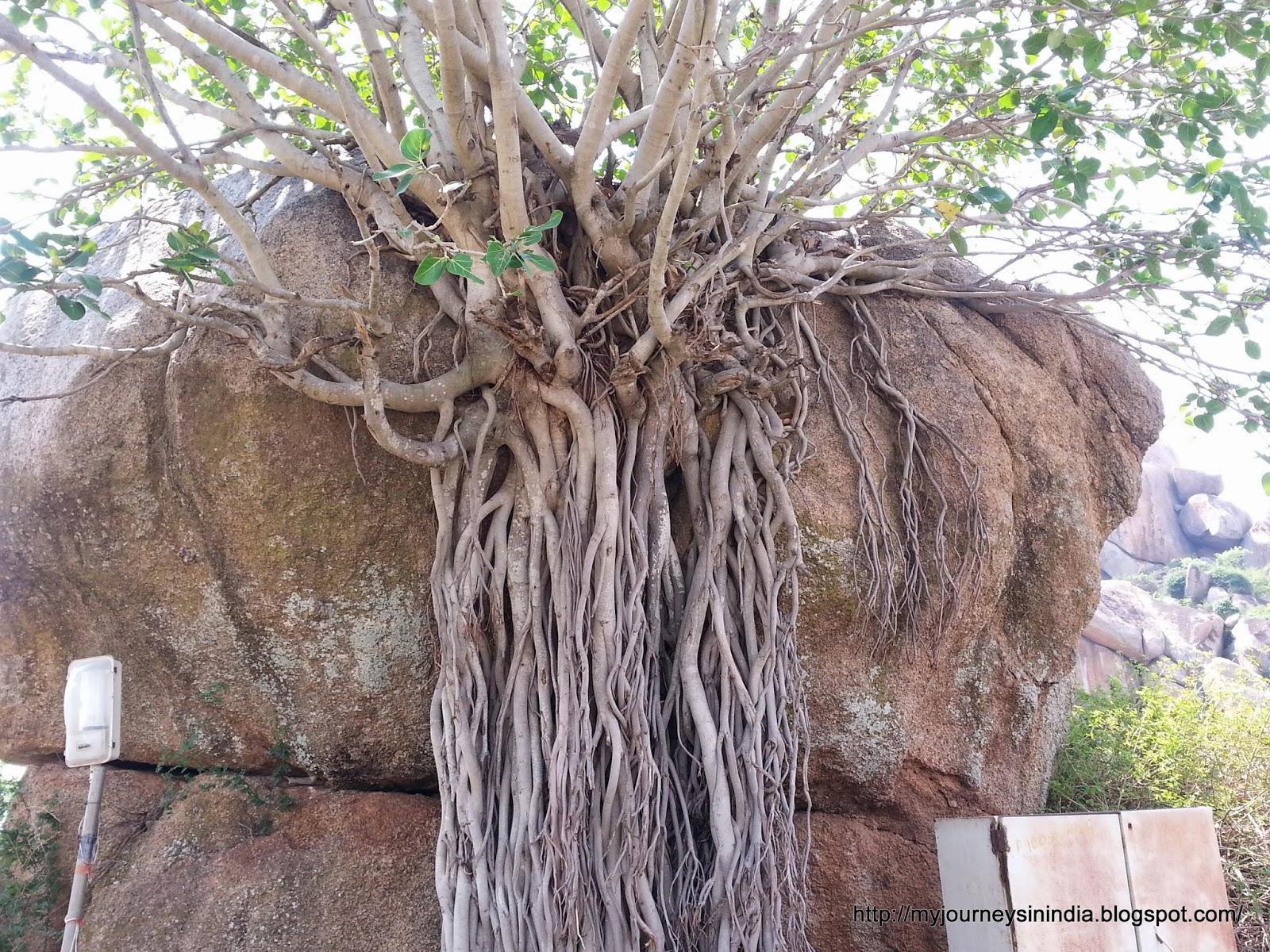 My Journeys In India: Chitradurga Fort or Kallina kote and Windmills