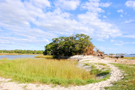 Desolation Florida: The Dixie Mainline and Shired Island