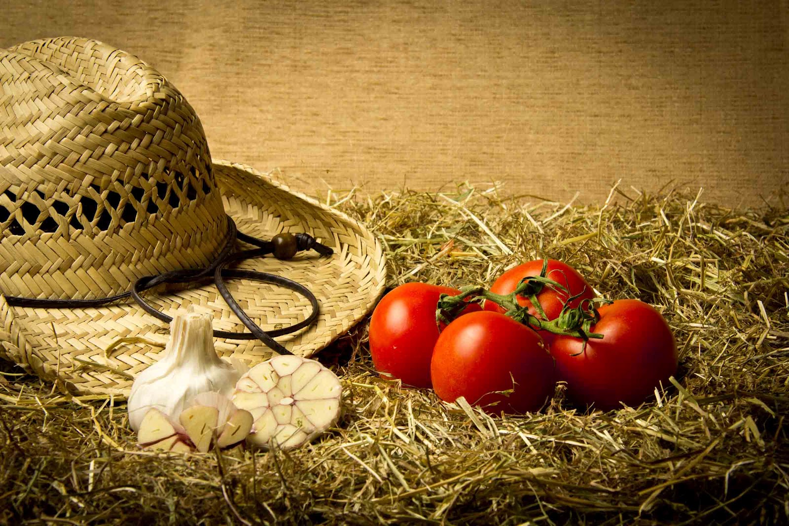 Edd's Studio and Lighting Blog: Still Life Photography