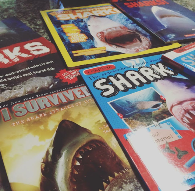 Shark Week SALE with some Freebies! - Queen of the First Grade Jungle