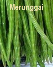 KENALI POKOK MERUNGAI | Agriculture Technology