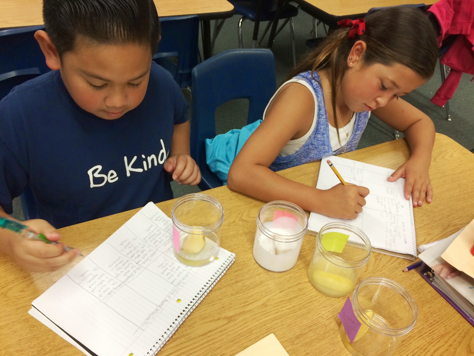 Ms. Spinrod's Class: Apple Lab