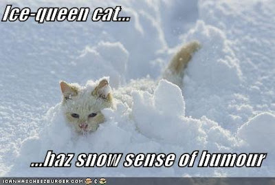 Second Life Fetish Fashion Guide: Femdom Network : Ice Queen Winterfest ...