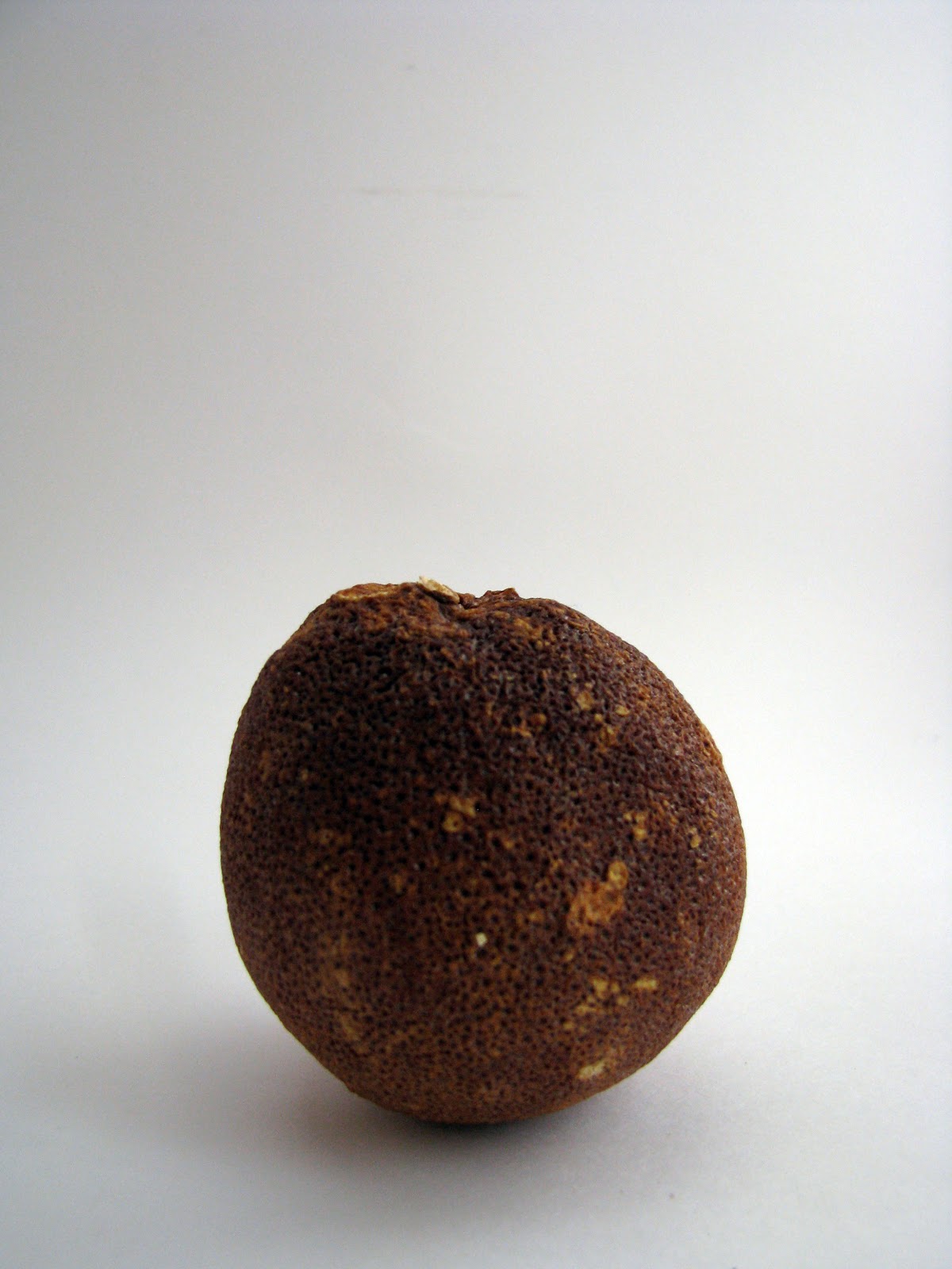 POTIONSMITH: Petrified Poison Orange