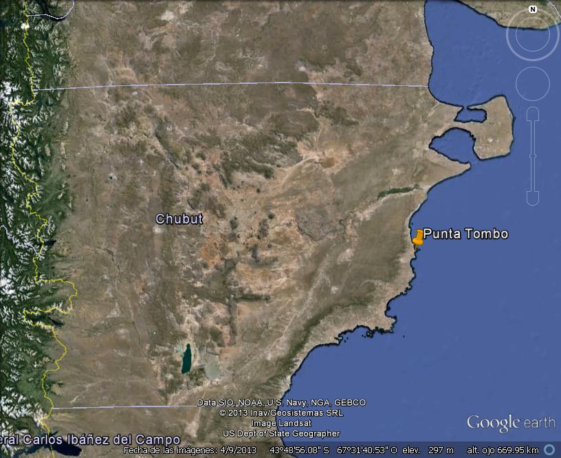 Aves de Argentina: Reserva Natural Punta Tombo