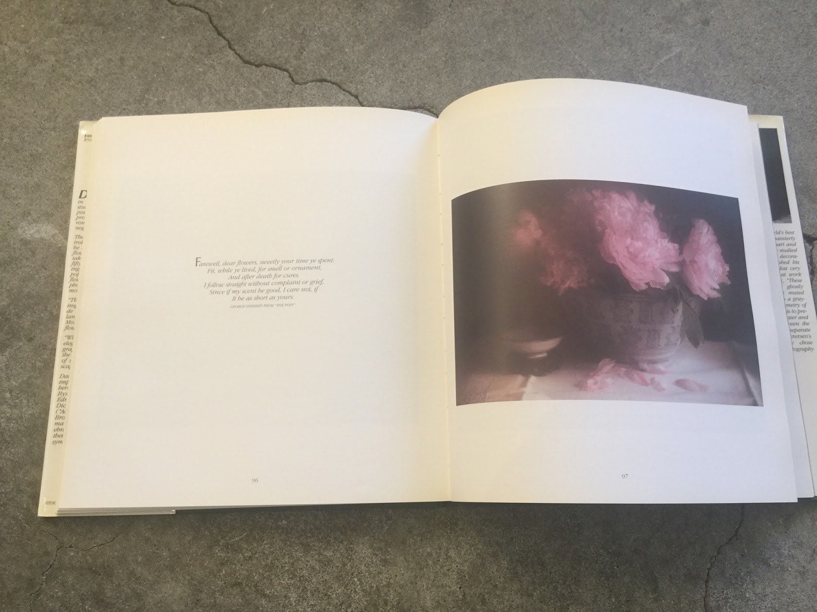 僕の愛した写真集 1