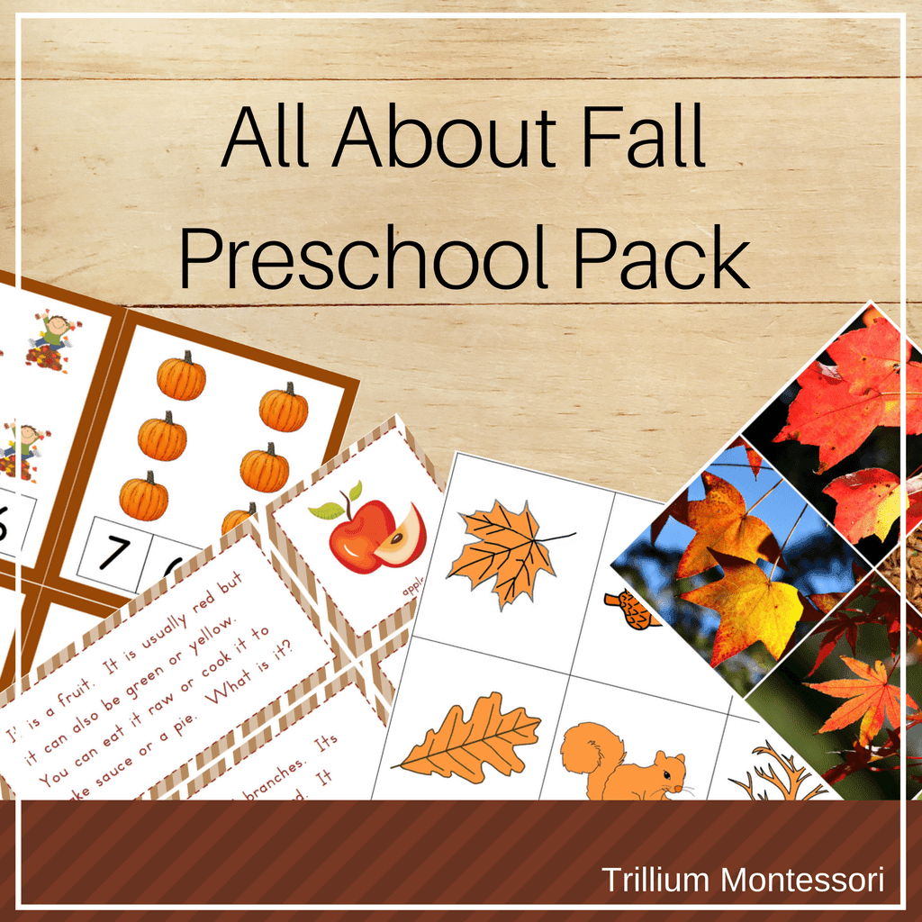 Back to School MEGA Bundle | Totschooling - Toddler, Preschool ...