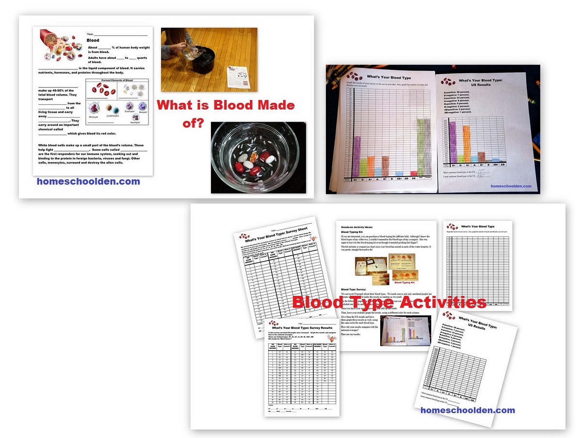 The Homeschool Den: Human Body Unit: Heart and Circulatory System ...