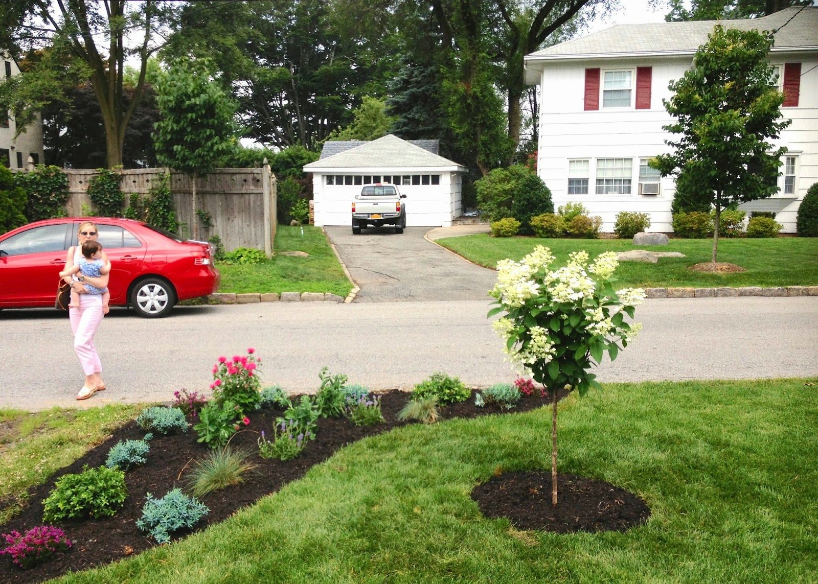 Nature's Cradle Nursery & Landscape Design: Protecting Your Curbside Garden