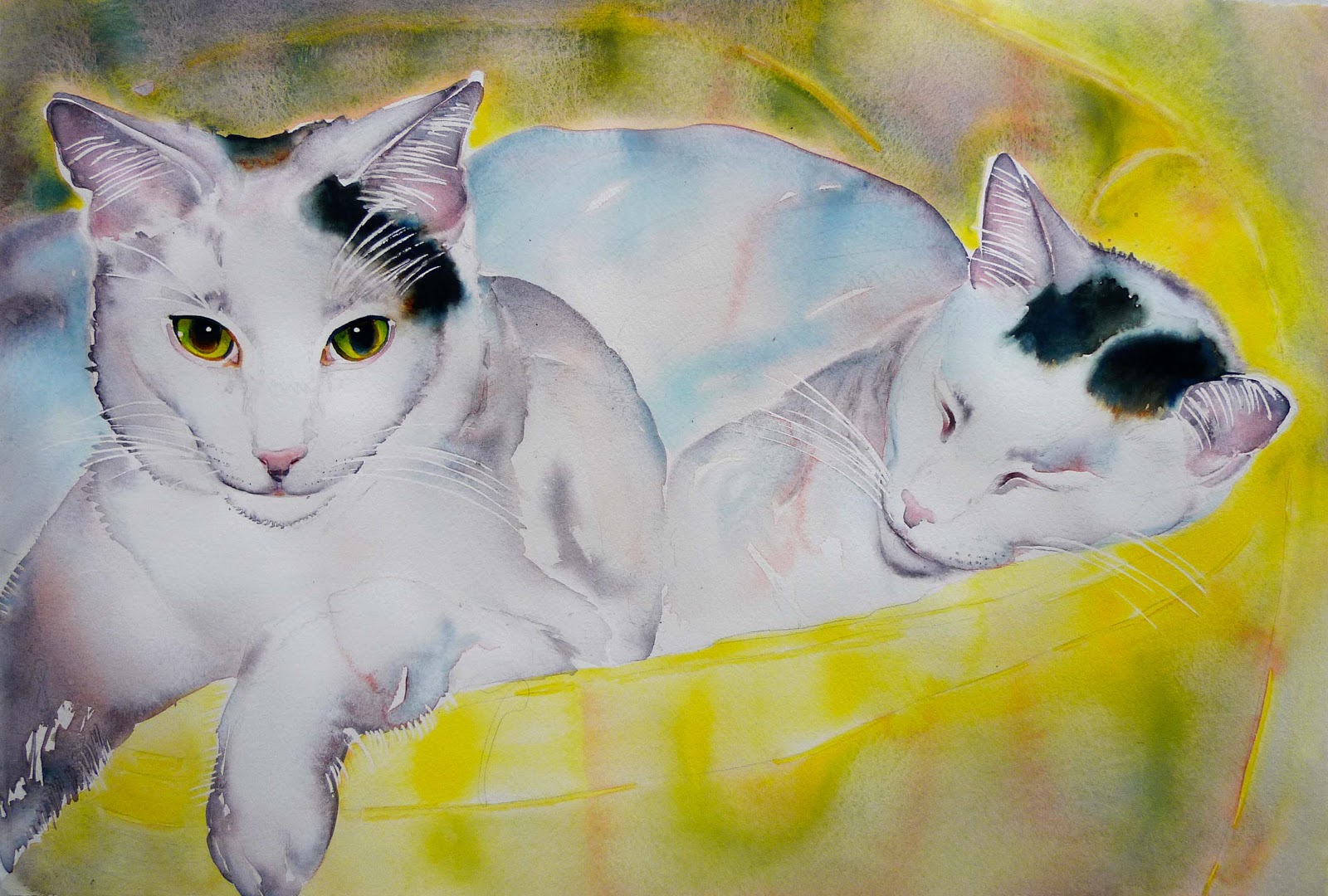 paintings: Cat Commission- watercolor