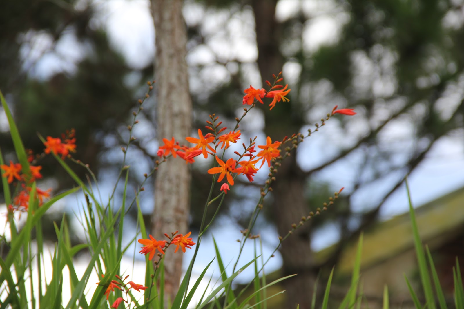 Mud & Beauty of Datu Salumay, Marilog, Davao City