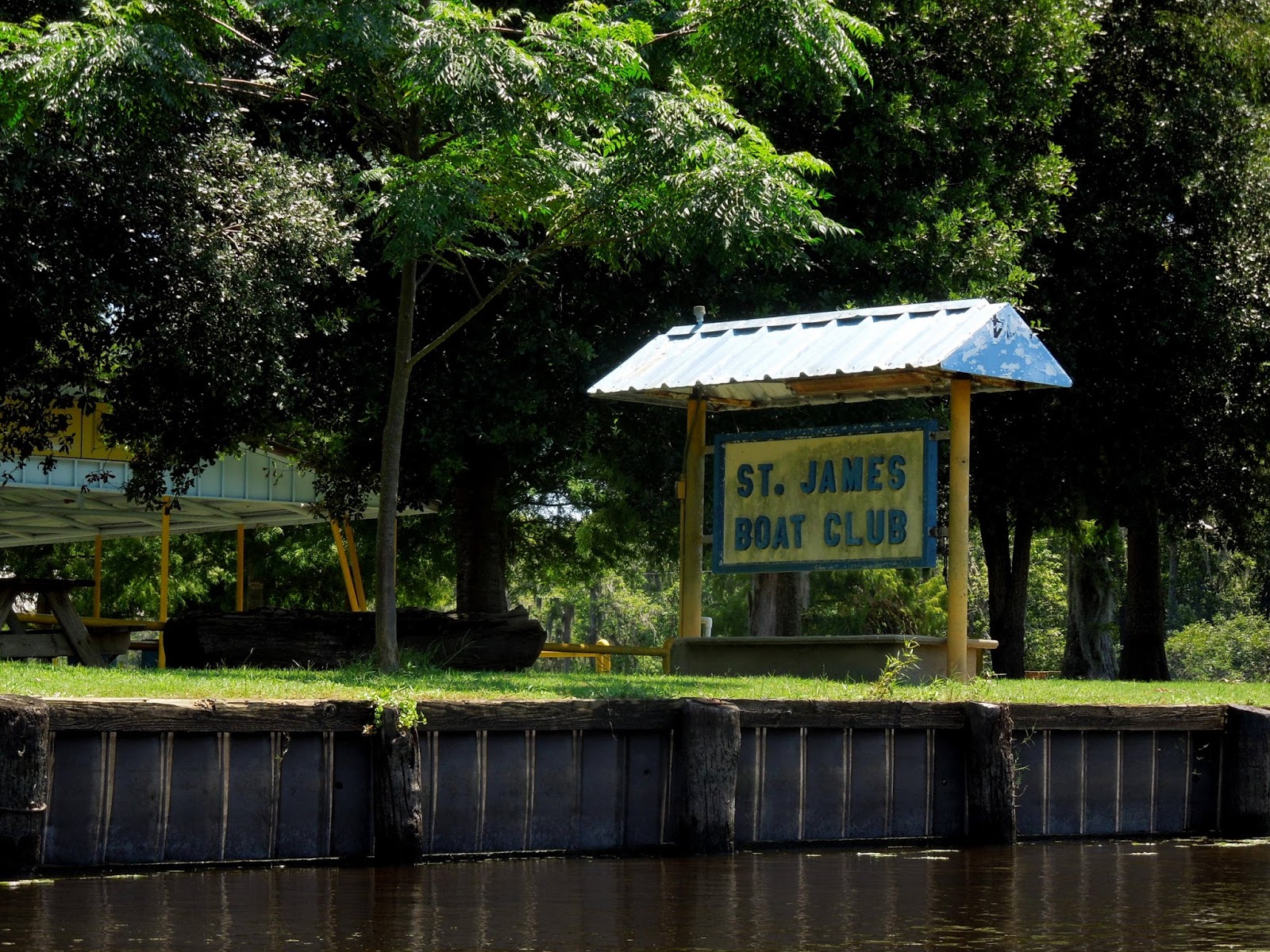 See Jane Bird. Bird, Jane, Bird.