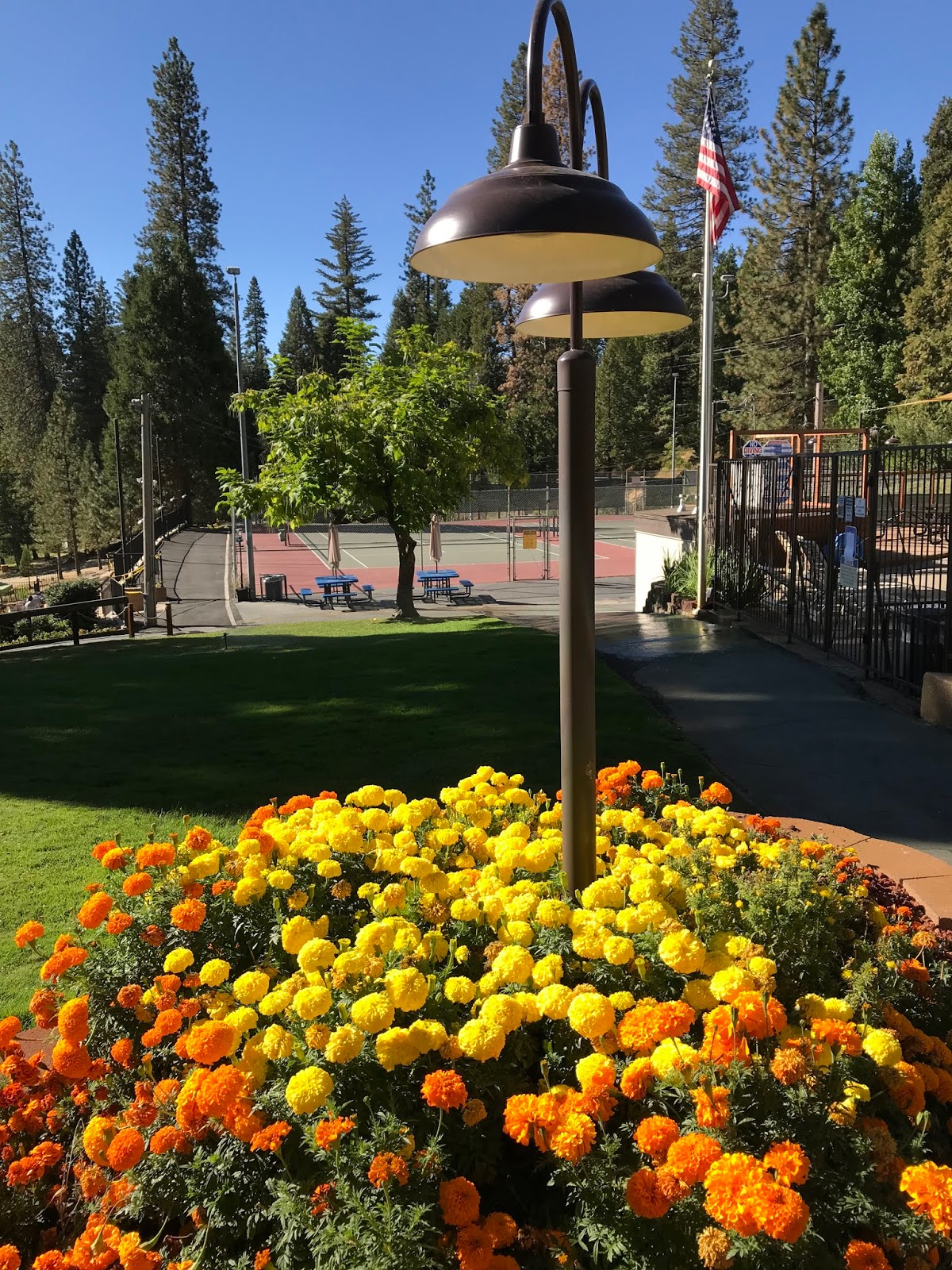 Sew'n Wild Oaks Quilting Blog: Sew'n Wild Oaks Retreat Day One