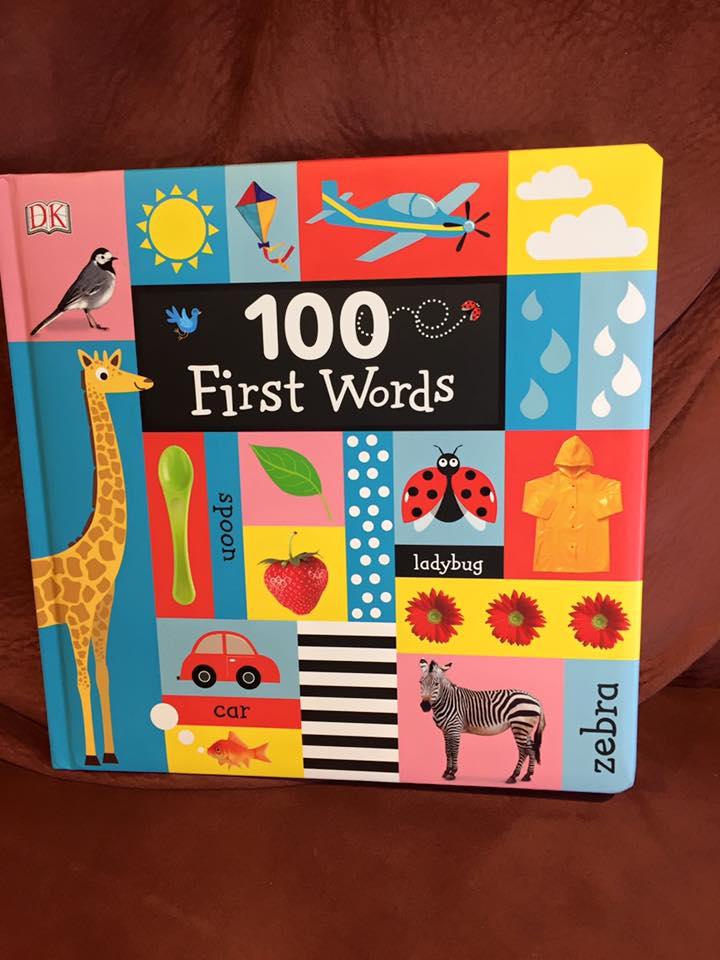 Sammi's Blog of Life: 100 First Words Book Will Quickly Become Your ...