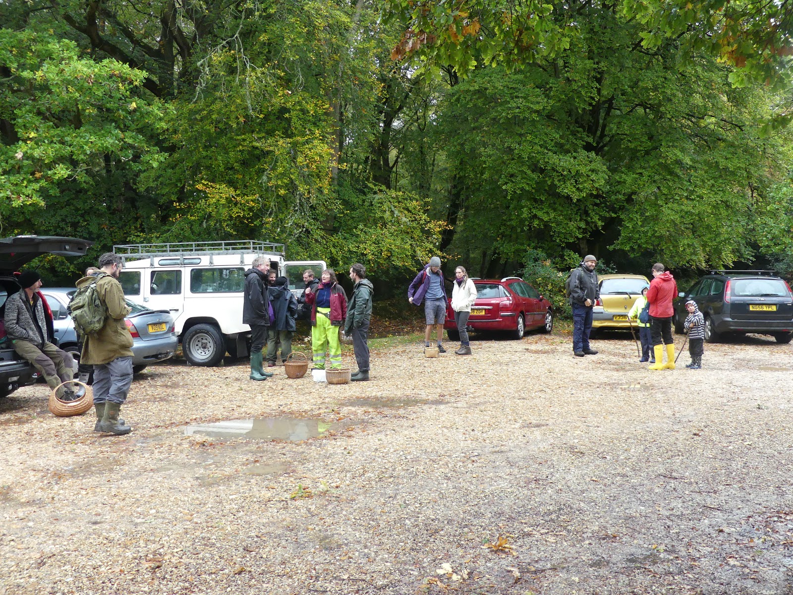 The Outdoor Traditionalist : Roger Phillips Mushroom Foray