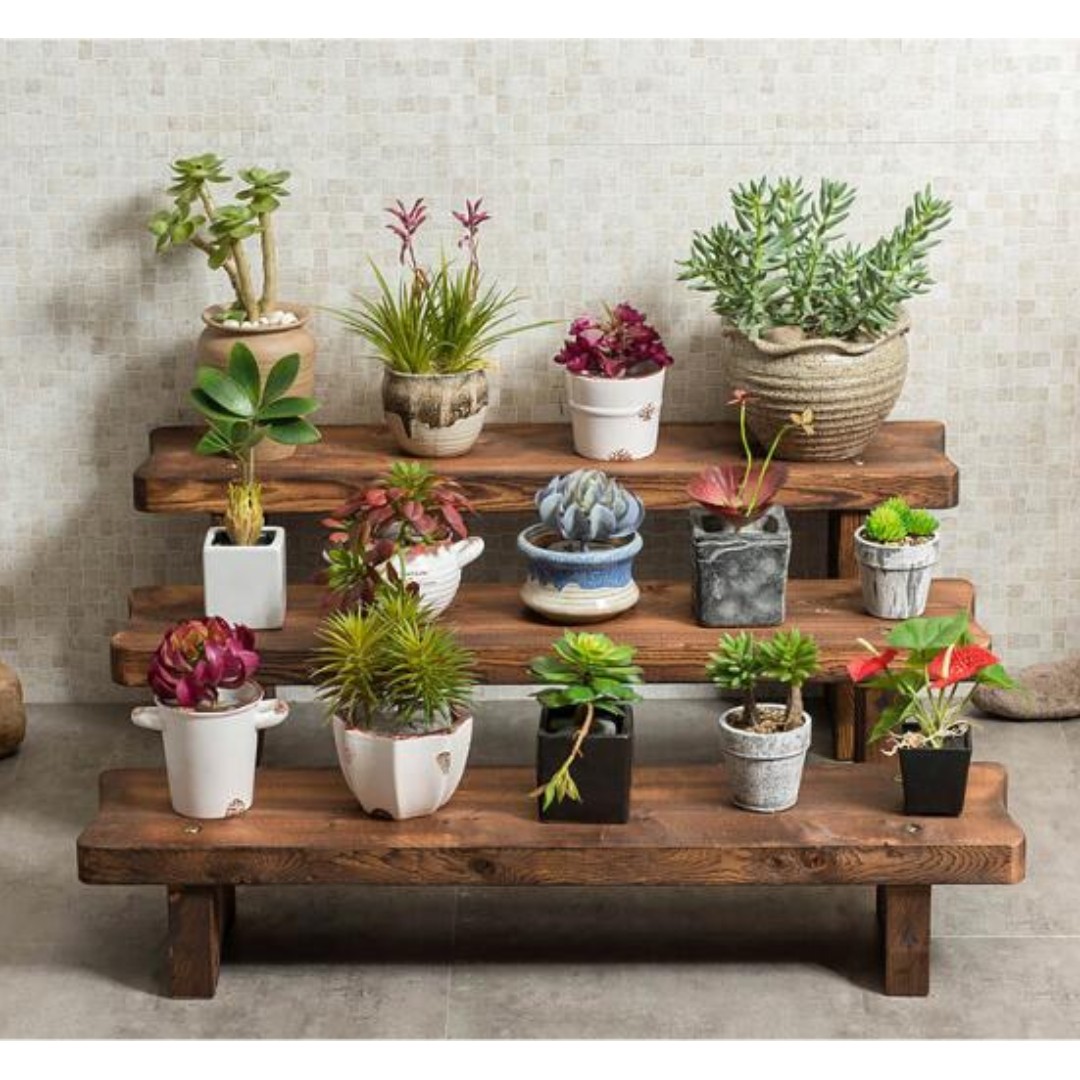 Percantik Hunian dengan 60 Rak Tanaman Minimalis - Rumahku Unik