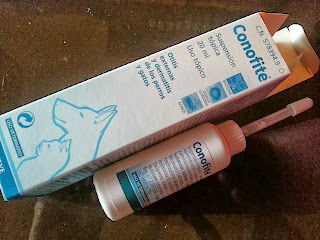 PROTECTORA D'ANIMALS LYDIA ARGILÉS: NECESITAMOS CONOFITE PARA ROCO