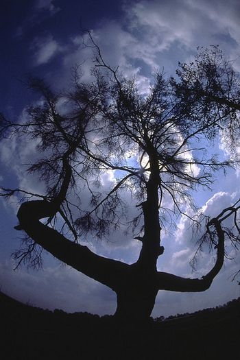 Modern Day Miracles in Chernobyl - The Catalog of Good Deeds