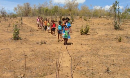 GERENCIAMENTO AMBIENTAL: Nordeste enfrenta a pior seca dos últimos 40 anos.