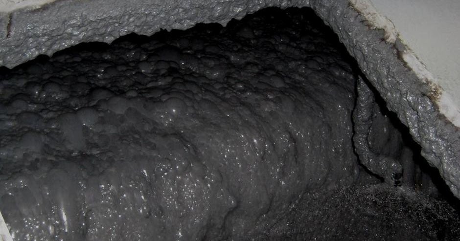 BIOREMEDIASI LOGAM TIMBAL (Pb) DALAM TANAH TERKONTAMINASI LIMBAH SLUDGE ...