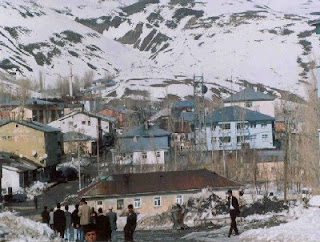 12 BİNGÖL: KARLIOAVA