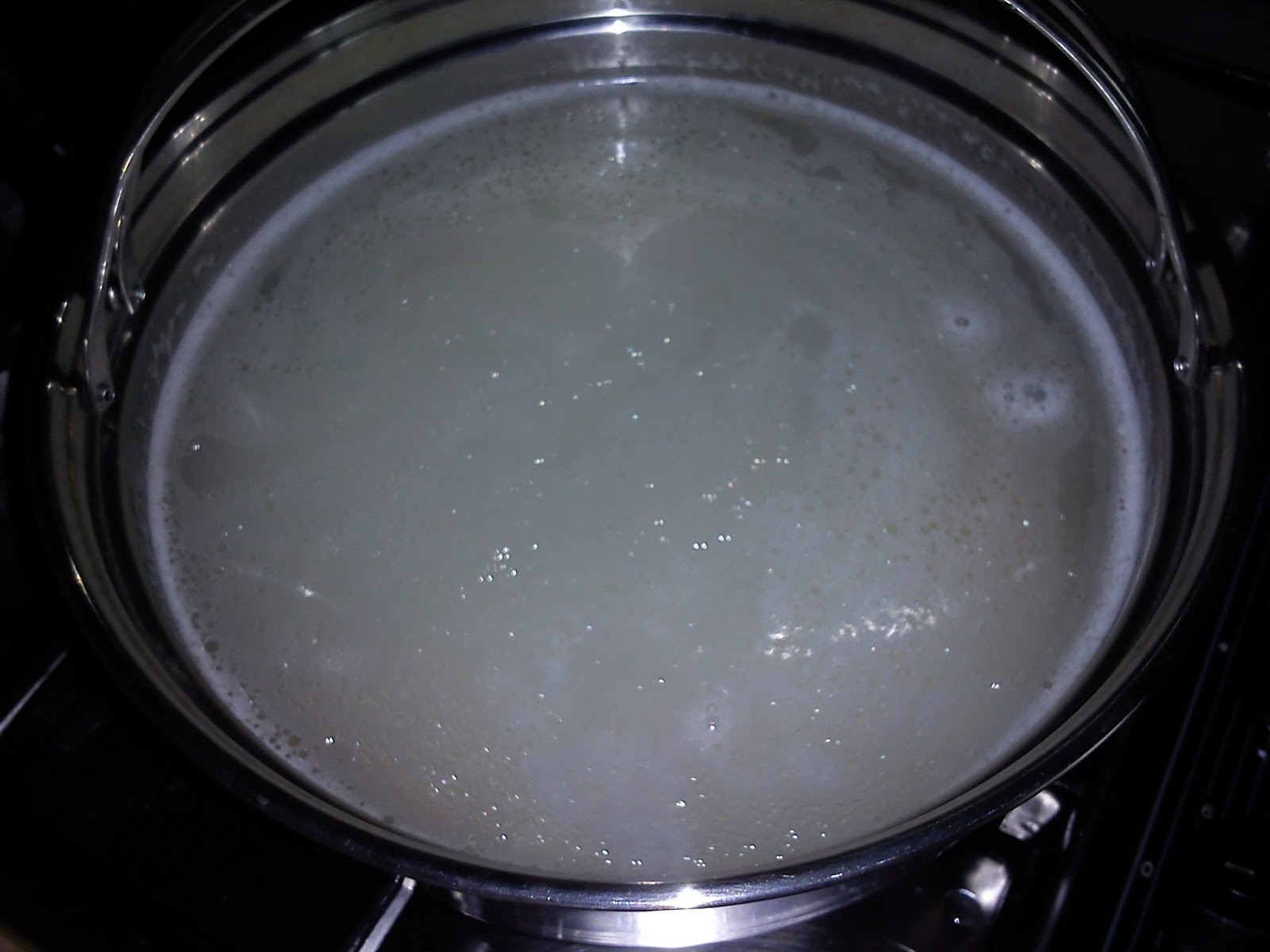 Cooking Pleasure: THERMAL COOKER - GINGKO NUT CHICKEN PORRIDGE