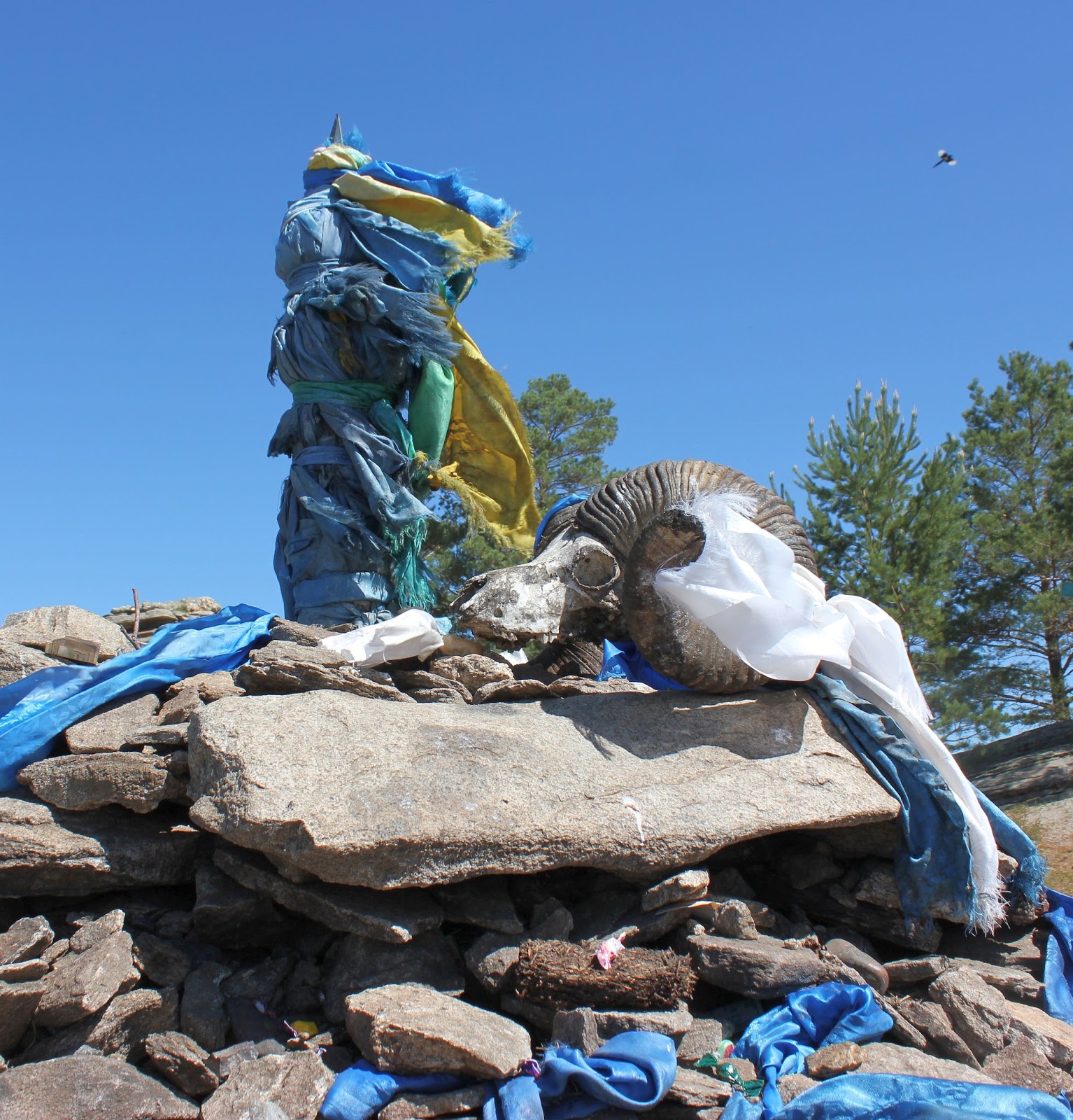 Musings in Mongolia: A glimpse into Siberia