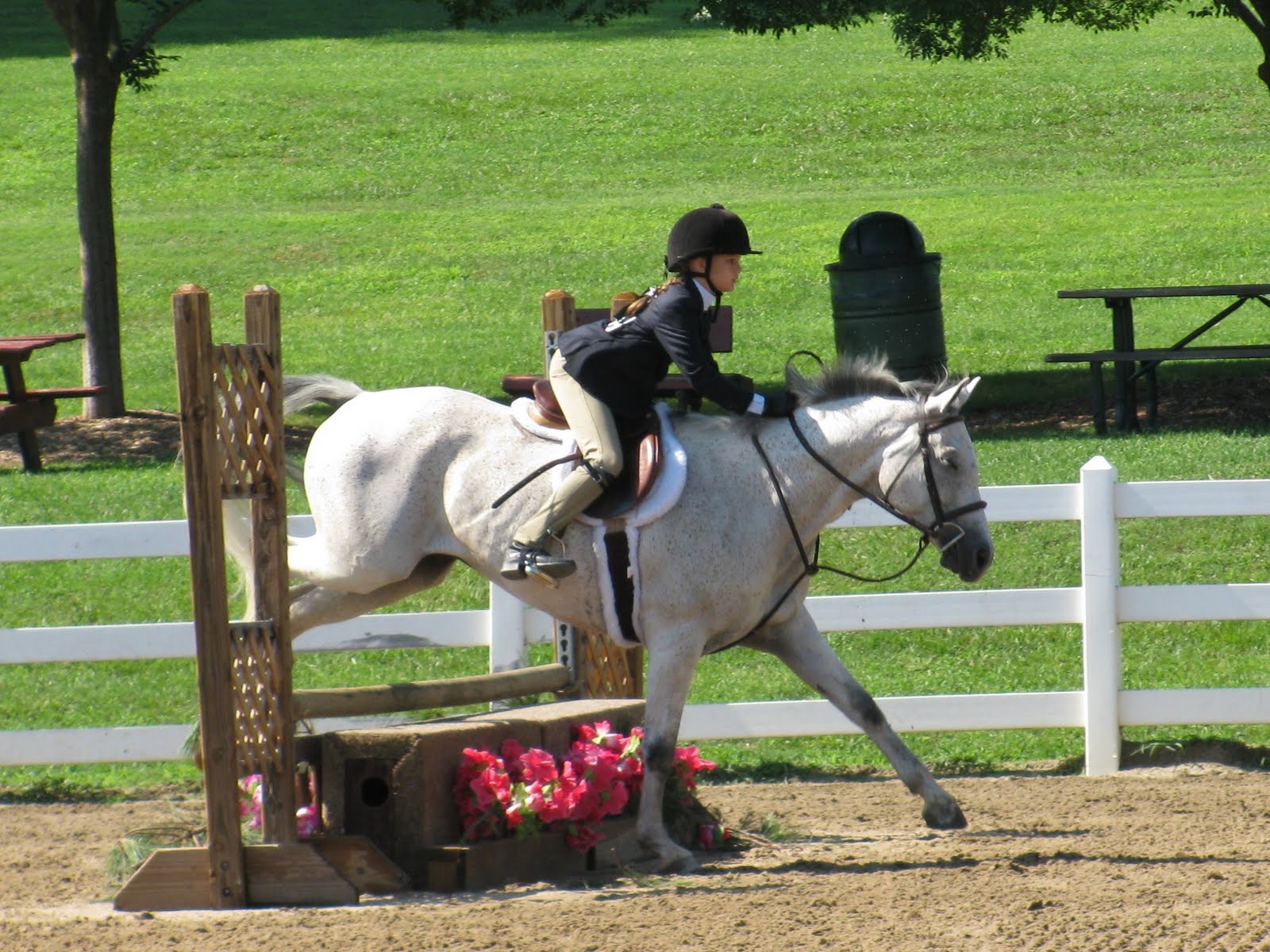 Girls and Thier Horses: Pony Jumping