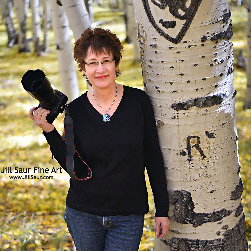 ORIGINAL PAINTINGS BY JILL SAUR: August 2013