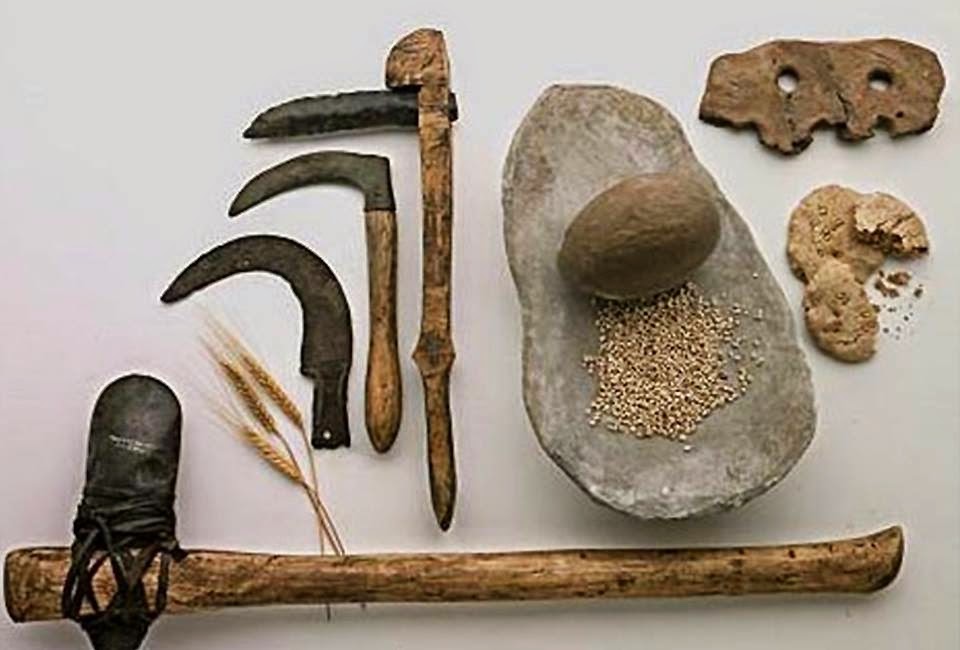 NUESTROS ANTEPASADOS: LA INVENCION DE LA AZADA Y EL ORIGEN DEL HOMBRE ...