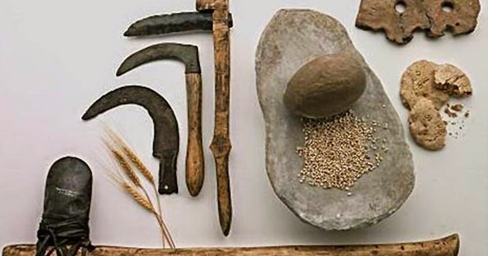 NUESTROS ANTEPASADOS: LA INVENCION DE LA AZADA Y EL ORIGEN DEL HOMBRE ...