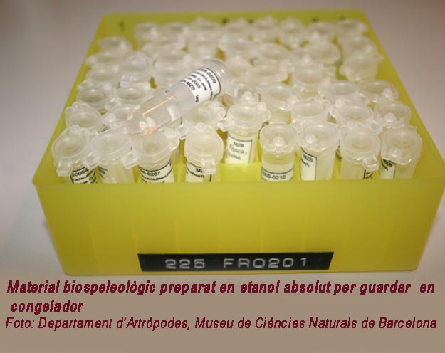 Associació Catalana de Bioespeleologia: Nº 098. Projectes BIOSP 2010 ...