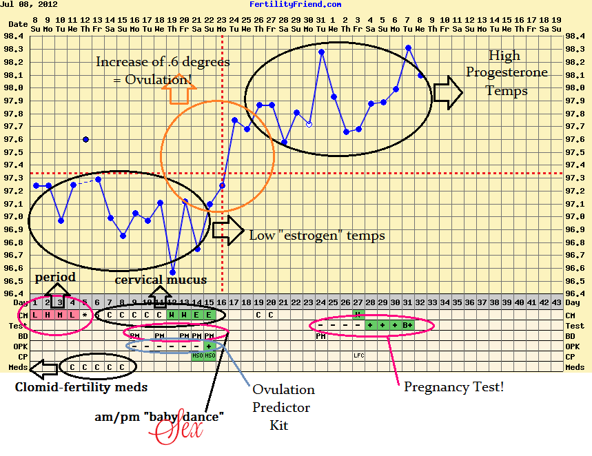 Bbt Chart For Ovulation: Basal Body Temperature For Ovulation – VHKTX