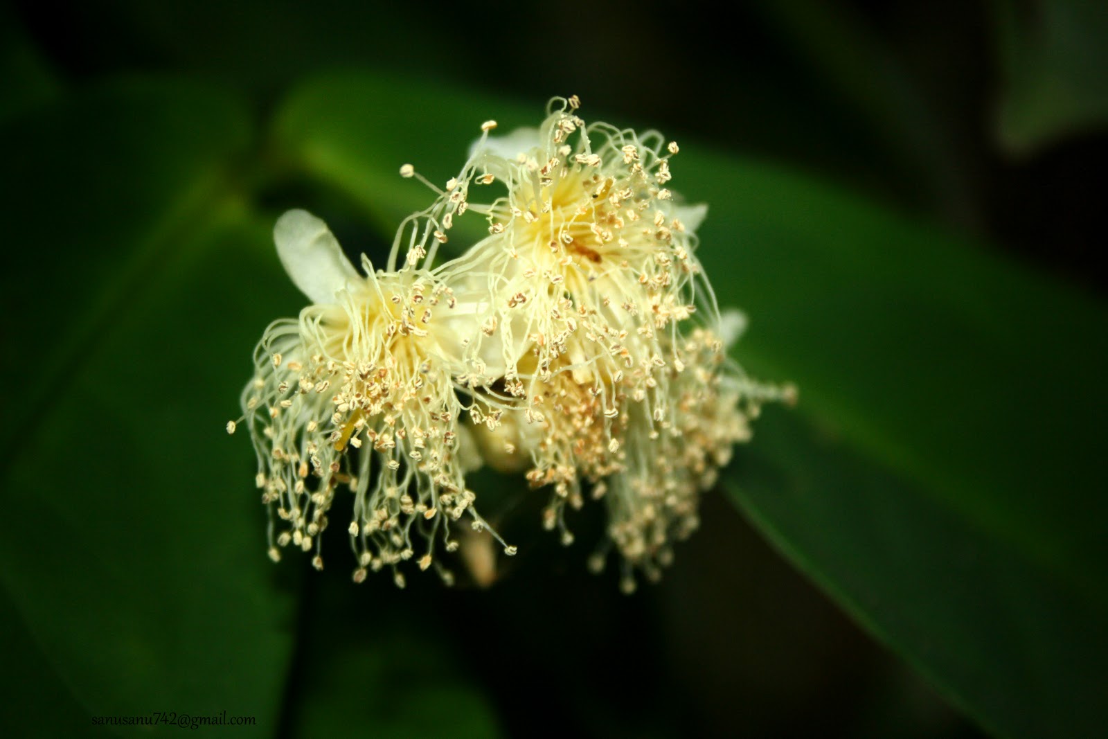 SNAP ME NOW: December 2011