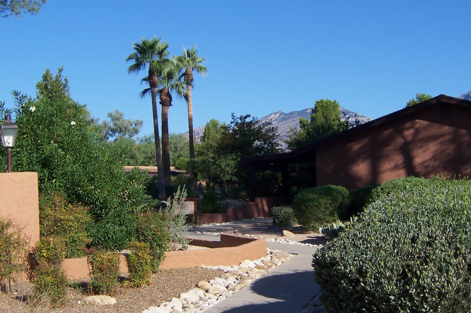 Bee Kalt Travel Insider: Canyon Ranch Tucson 2011 update