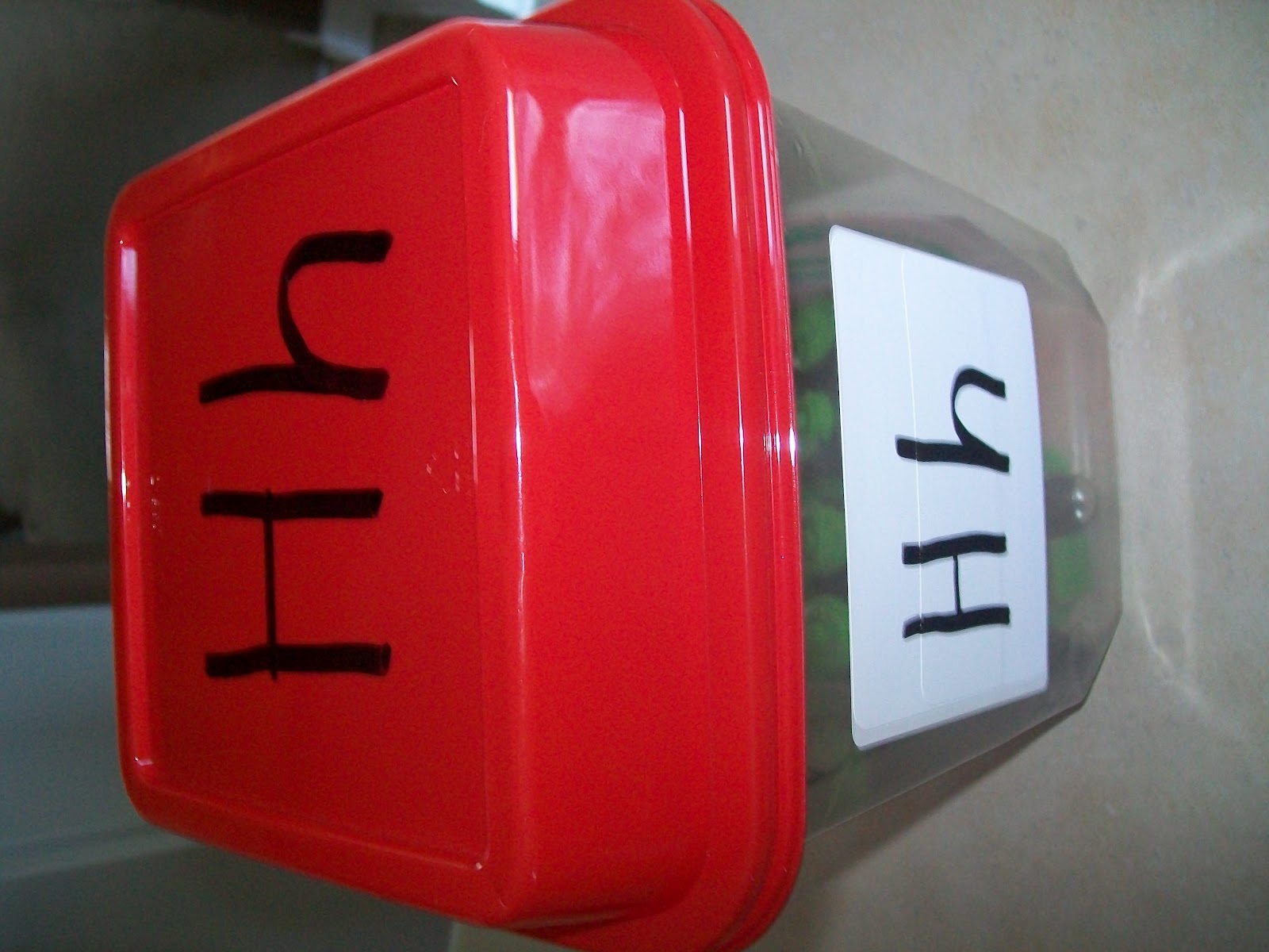 Learning With Imagination