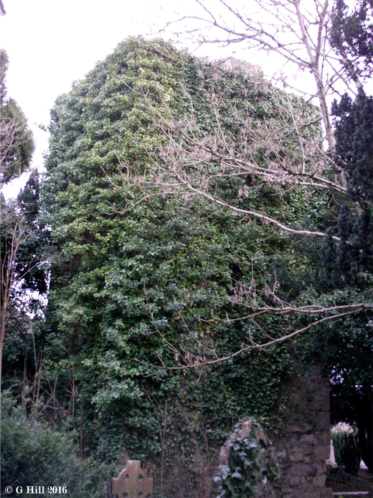 Ireland In Ruins: Old Straffan Church Co Kildare