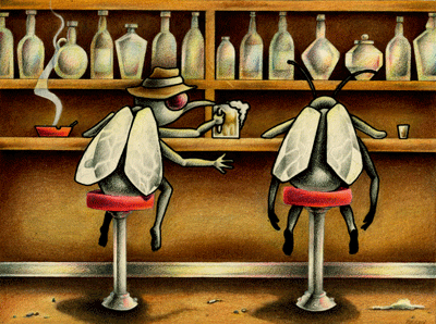 A Collection of Odd.: Bar Fly