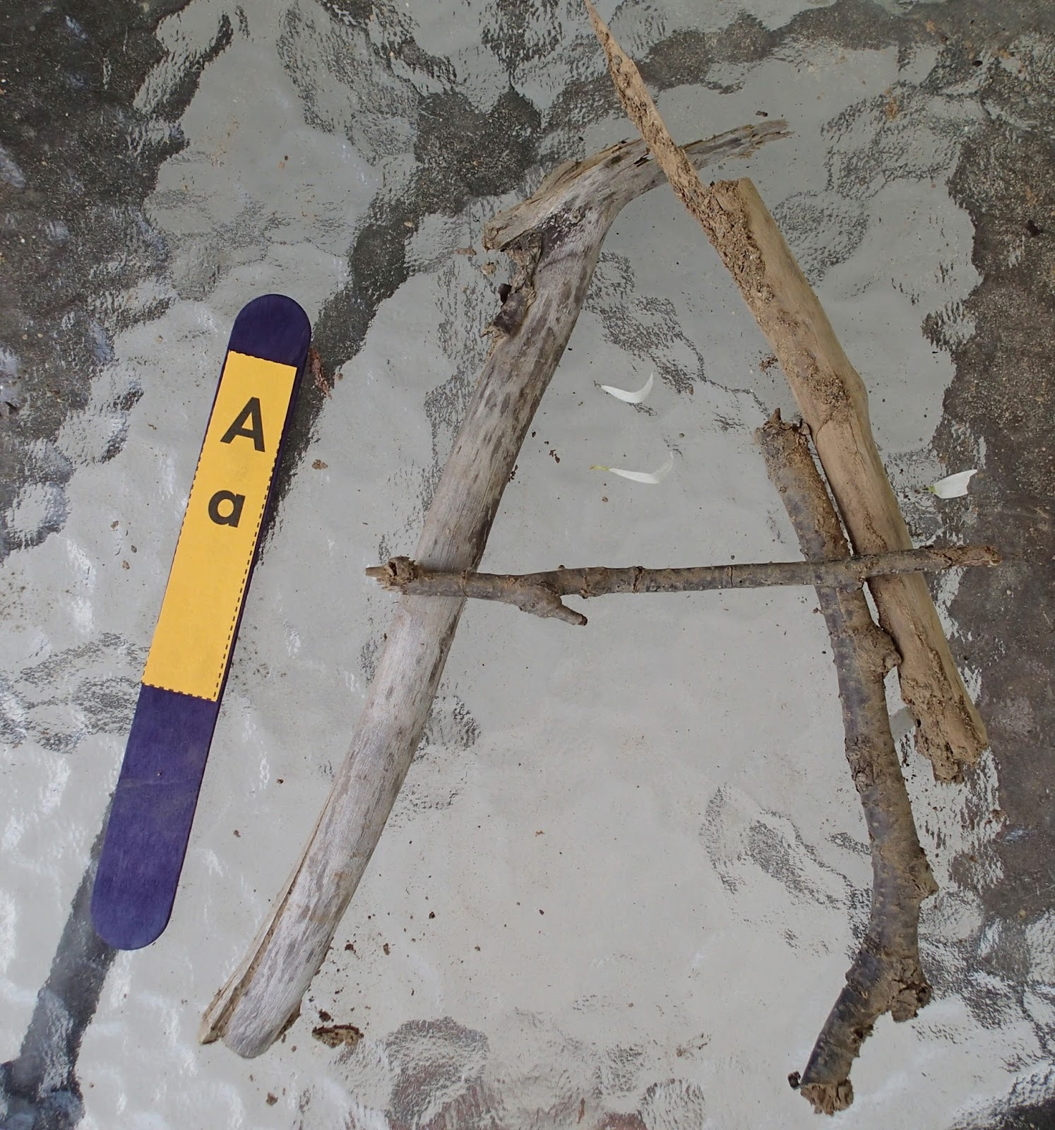 1 Day at Home: Writing With Trees