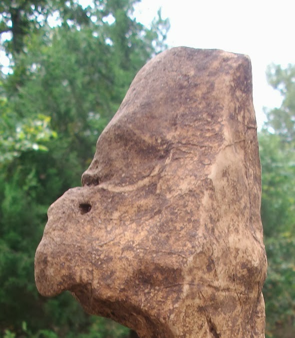 Archaeology of Portable Rock Art: Mammoth Spring, Arkansas, natural ...